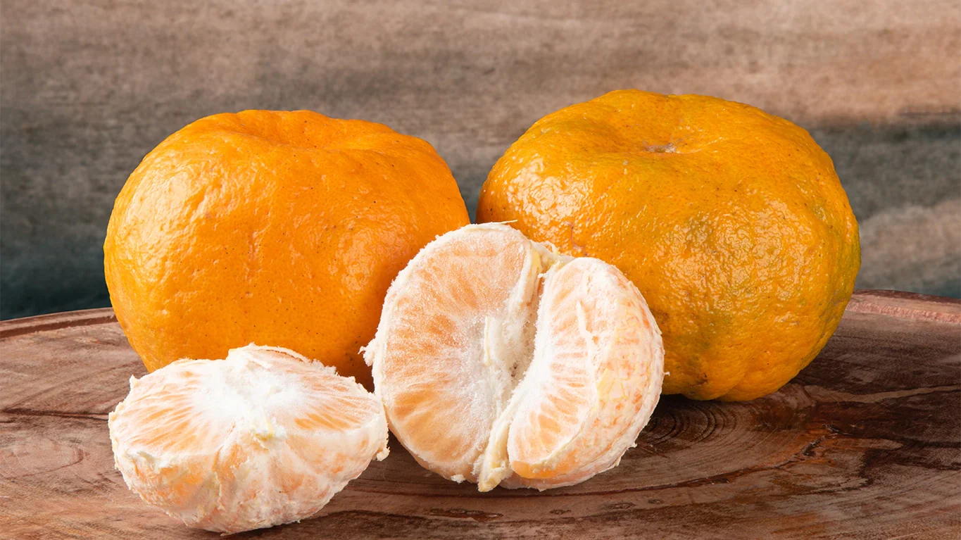 Discover the Power of Mandarin Vitamin C Face Wash for Radiant Skin – Zobha